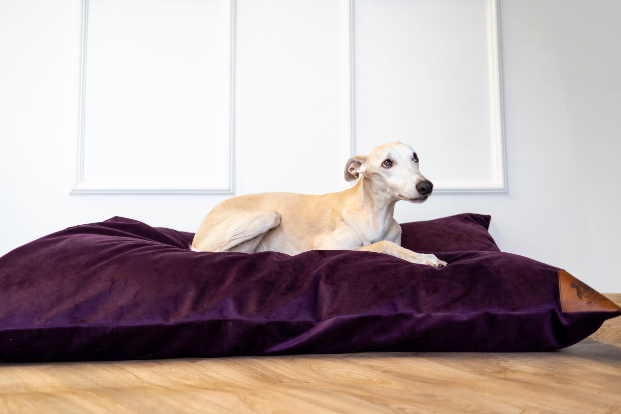Indestructible Dog Bed- The Pillow Bed – West & Jones